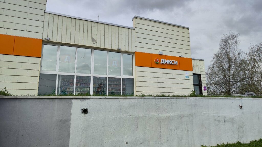 Süpermarket Dixy, Puşkin, foto