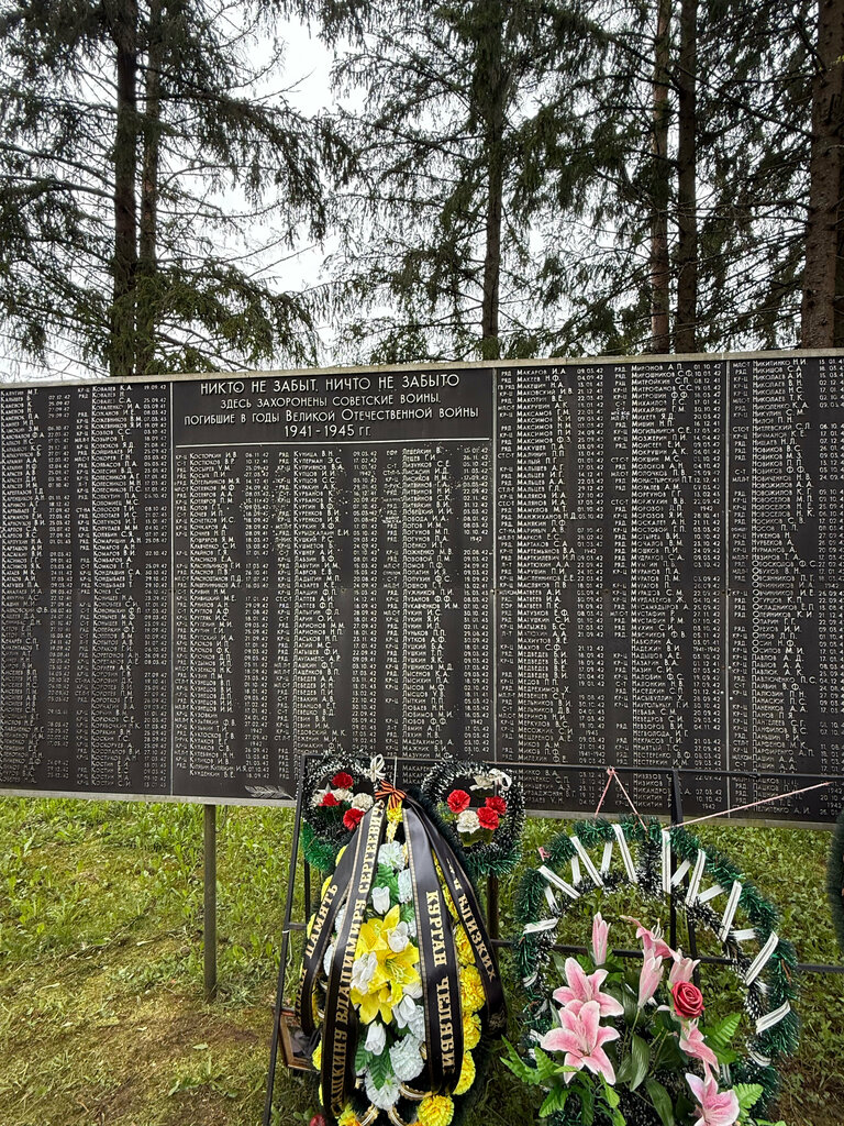 Anıt, heykel Братское захоронение солдат ВОВ, Novgorodskaya oblastı, foto