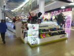 Обувь (Poshekhonskoye shosse No:22), ayakkabı mağazaları  Vologda'dan