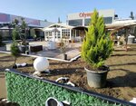 Olympos Garden (Edirne, Keşan, İspat Cami Mah., Edirne Cad., 3), restoran  Keşan'dan