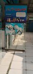 Anipro International Pharmacy (Madian Town B-1 Street No:239, Shamsabad, Rawalpindi), veteriner eczaneleri  Rawalpindi'den