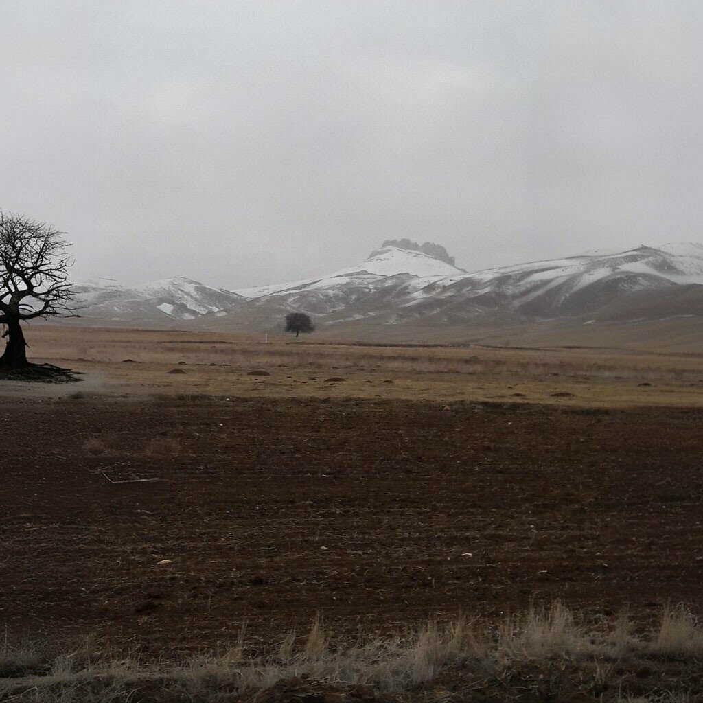 Muhtarlıklar Hacılı Köy Muhtarlığı, Yerköy, foto