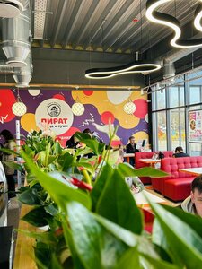 Pirat pizza & sushi (ulitsa Krzhizhanovskogo No:13), pizzacılar  Elektrogorsk'tan