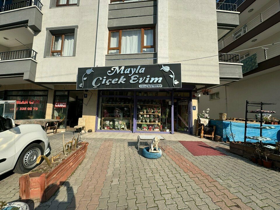 Çiçekçiler Mayla Çiçek Evim, Ankara, foto
