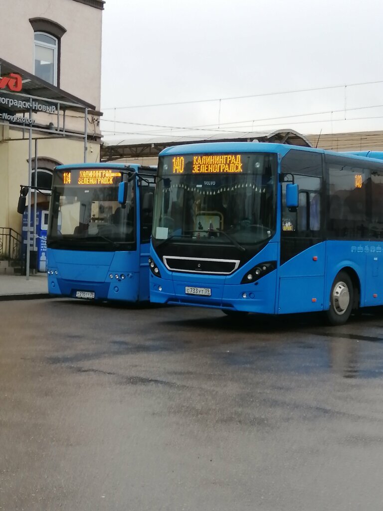 Otogarlar Avtostantsiya g. Zelenogradsk, Zelenogradsk, foto