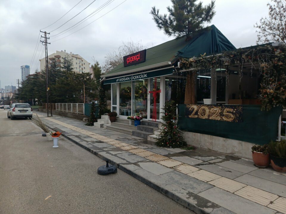 Çiçekçiler Hsb Doğan Çiçekçilik, Ankara, foto