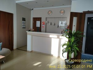 Gorizont (ulitsa Pobedy No:7А), otel  Skovorodino'dan