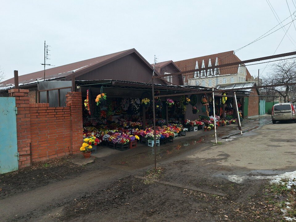 Yapay bitki ve çiçek Искусственные растения и цветы, Krasnodar, foto