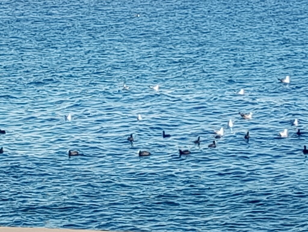 Turistik yerler Sulu Manastır, İstanbul, foto