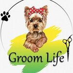 Groom Life (KIM Street No:10А), evcil hayvan kuaförleri  Volgograd'dan