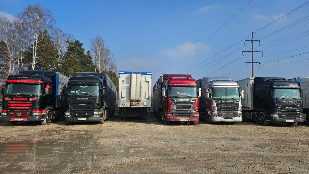 Nakliye firmaları Max-trans, Orehovo‑Zuyevo, foto