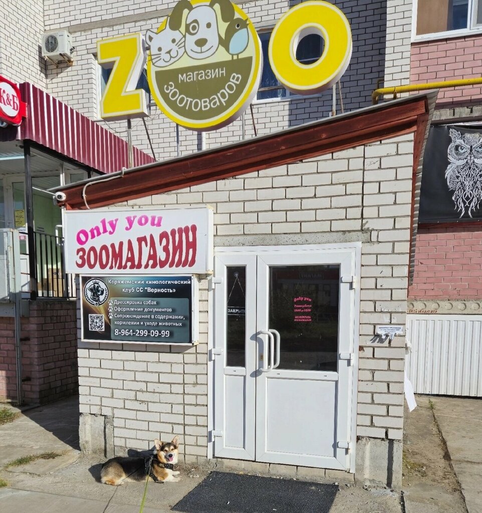 Petshop Only you, Koriajma, foto