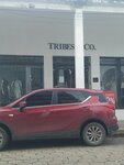 Tribes & Company (Santa Cruz de la Sierra, Distrito Municipal 11, Subdistrito CIV, Suárez de Figueroa, 134), giyim mağazası  Bolivya'dan