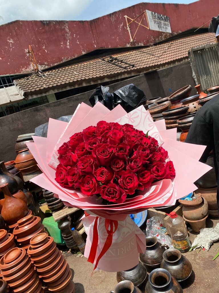 Çiçekçiler Le Monde Des Fleurs, Abican, foto