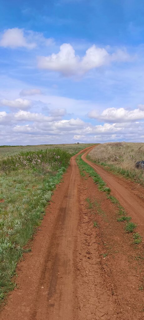Giriş işareti Сакмарский район, Orenburgskaya oblastı, foto
