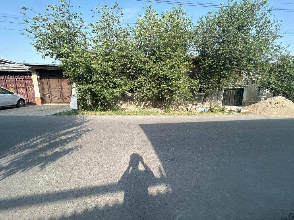 Pasta, şekerleme ve tatlı Safia, Taşkent eyaleti, foto