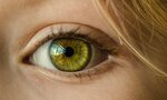 Optik Rank (Nürnberger Straße No:2, Zirndorf), optik cihazlar ve ekipmanlar  Zirndorf'tan
