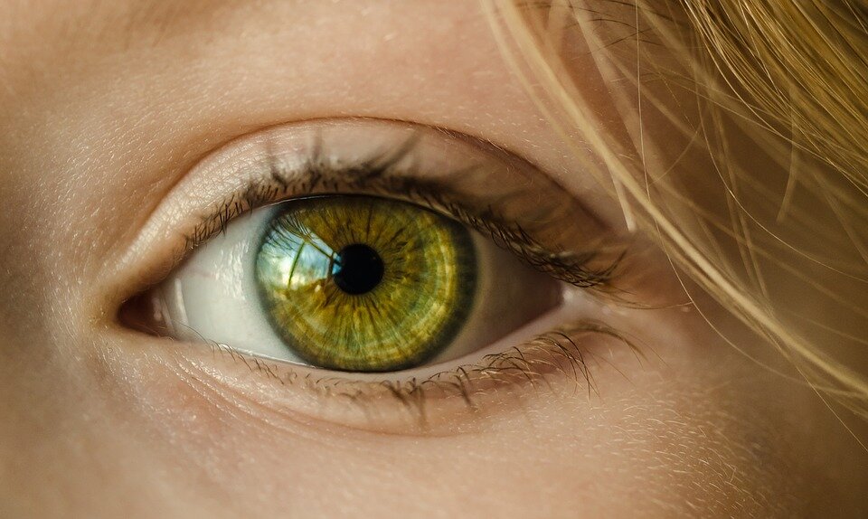 Optik cihazlar ve ekipmanlar Optik Rank, Zirndorf, foto
