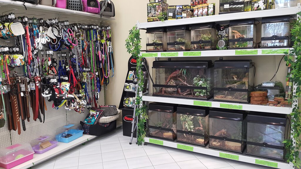 Petshop Zoopolis, Moskova ve Moskovskaya oblastı, foto