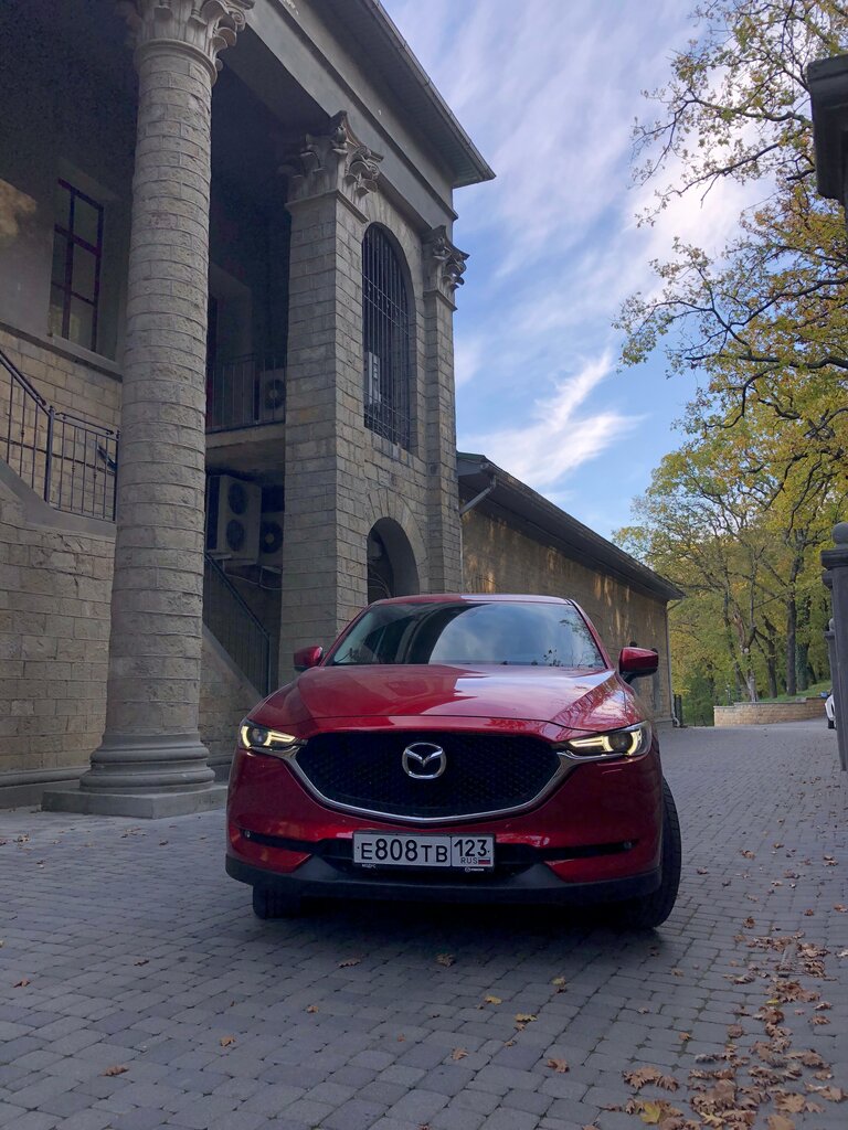 Otomobil satış galerileri Modus Mazda Novorossiysk, Novorossiysk, foto