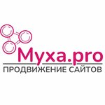 Myxa.pro (Lenina Avenue No:64Д), i̇nternet pazarlama şirketi  Çeliabinsk'ten