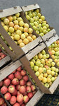Fruits on Wheels (Ýralskıı tuıyq kóshesi No:6/1Б), manavlar  Kostanay'dan