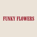 Funky Flowers (Molodogvardeyskaya Street No:146А), çiçek teslimatı  Samara'dan