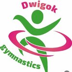 Dwigok gymnastics (Sovetskaya ulitsa No:96В), spor kulüpleri  İrbit'ten