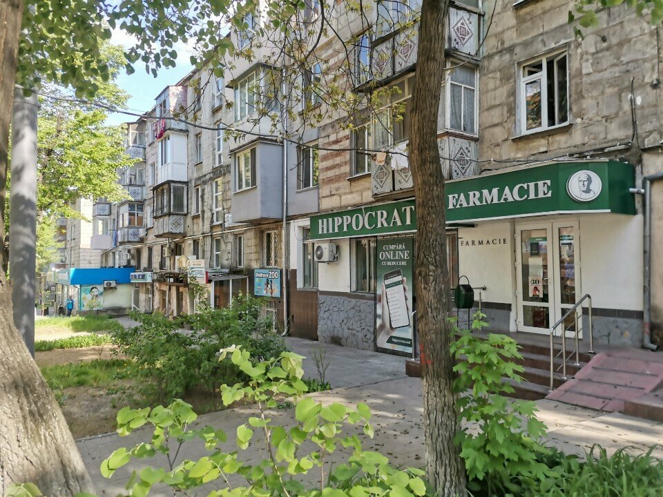 Eczaneler Hippocrates Farmacia, Kişinev, foto