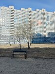 Dog park (Sverdlovsk Region, Yekaterinburg, Vtorchermet Urban Housing District, zhiloy kompleks Vesna), köpek gezdirme alanları  Yekaterinburg'dan