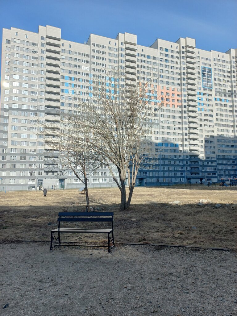 Köpek gezdirme alanları Dog park, Yekaterinburg, foto