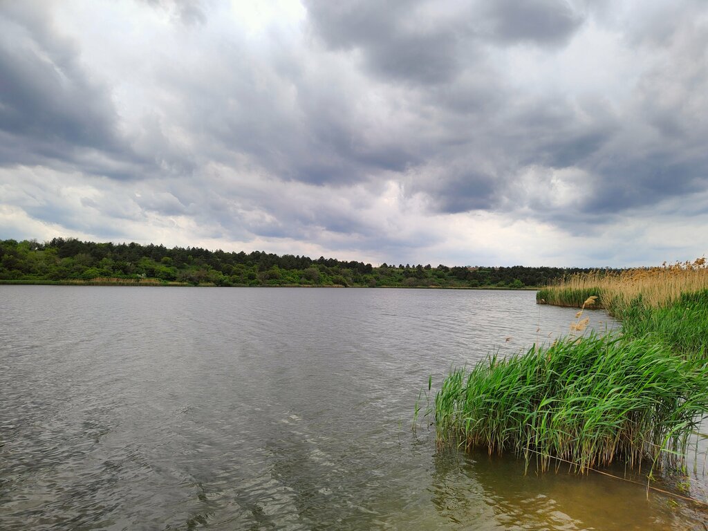 Plaj Пляж, Rostovskaya oblastı, foto