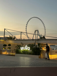 Pims (Jumeirah Beach Residence, Dubai Marina, Jumeirah, Dubai), kafe  Dubai'den