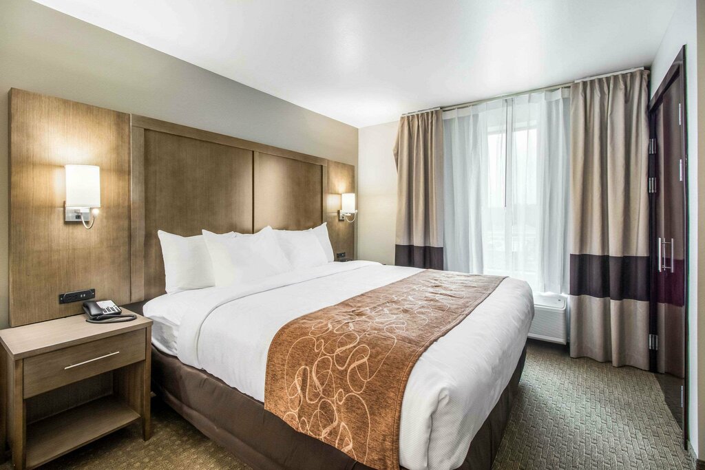 Otel Comfort Suites, Tennessee Eyaleti, foto