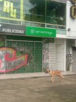 Servientrega (Bogotá, Suba, Lombardia, Carrera 106A, 143-57), lojistik firmaları  Bogota'dan