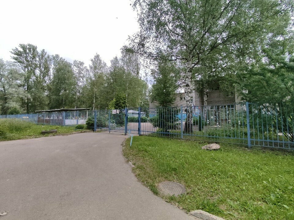 Anaokulları Detsky sad № 91, Yaroslavl, foto