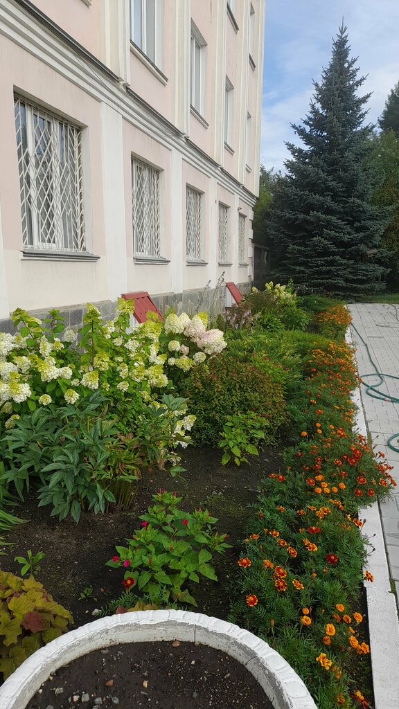 Özel okul Эстет-центр М, Çeliabinsk, foto