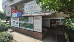 Мисс Мяу (Krasnyh Partizan Street No:1/3к6), evcil hayvan kuaförleri  Krasnodar'dan