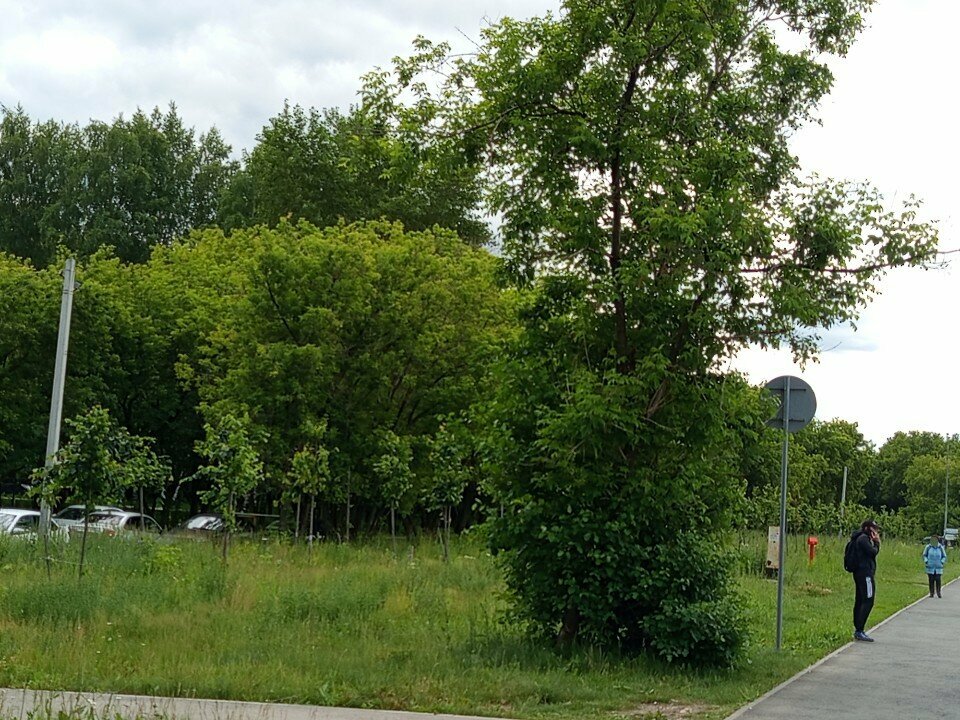 Sivil toplum kuruluşları Липогорье, Perm, foto