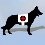 Drug (Morskoy Pekhoty Street No:26к2), veteriner klinikleri  Saint‑Petersburg'dan