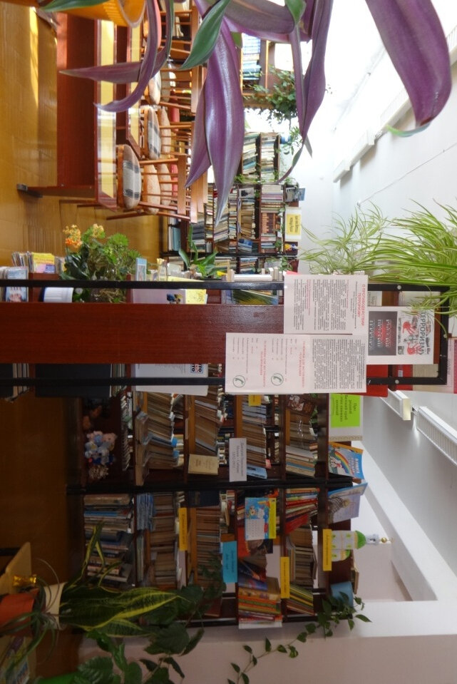 Kütüphaneler Sovinskaya selskaya biblioteka-filial, Mku Slobodskaya tsentralizovannaya bibliotechnaya sistema, Kirovskaya oblastı, foto