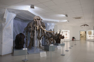 Novosibirsk State Museum of Local Lore, a branch of the Museum of Nature (Vokzal'naya Magistral No:11), müzeler ve sanat galerileri  Novosibirsk'ten