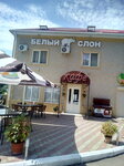 Bely Slon (Chernomorskaya ulitsa No:1А, Village of Nebug), kafe  Krasnodarski krayından