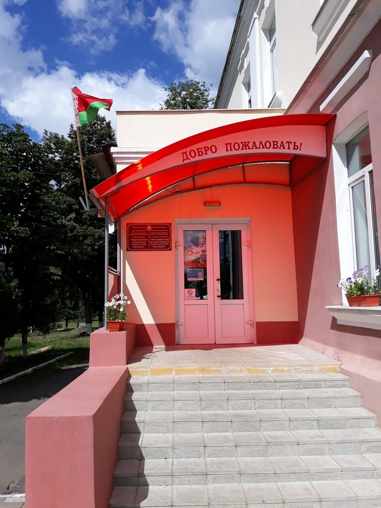 Yüksekokul Rogachev state educational college, Rogachev, foto