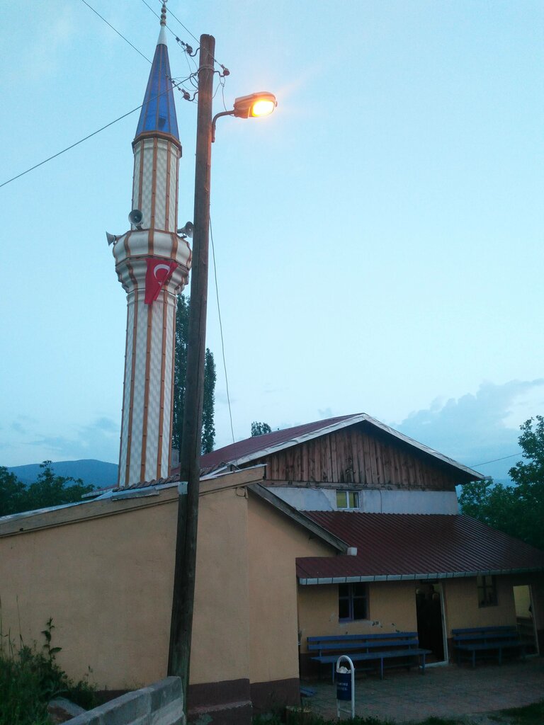 Cami Sarpun Köyü Sarcılar Mahallesi Cami, Araç, foto