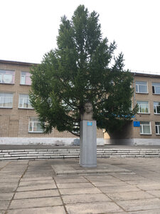 N. K. Krupskaya's Bust (Soltústik Qazaqstan oblysy, Petropavl qalalyq ákimdigi), anıt, heykel  Petropavl'dan (Petropavlovsk'tan)