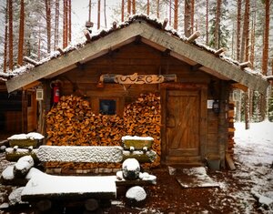 Eco-Hotel Les (Leningrad Region, Vyborgskiy District, Polyanskoye selskoye poseleniye), otel  Saint‑Petersburg ve Leningradskaya oblastından