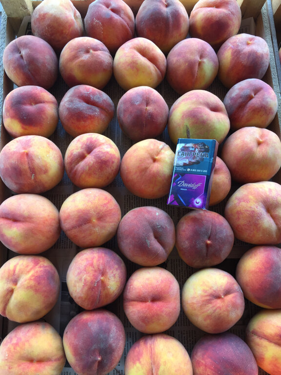 Pazarlar ve çarşılar Сельскохозяйственная ярмарка, Krasnodarski krayı, foto