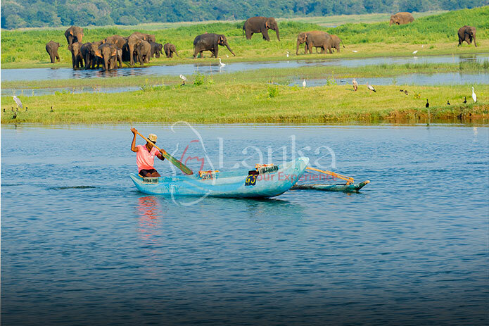 Seyahat acenteleri Sri Lanka Travel Agent, Batı Eyaleti, foto