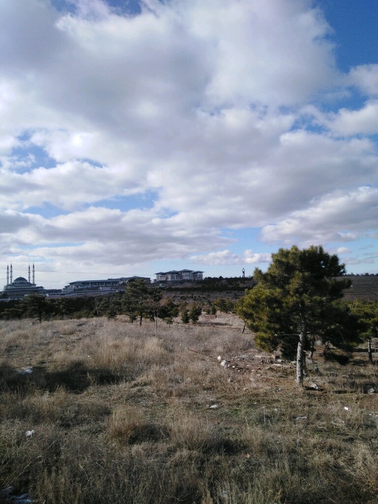 Parklar ve ormanlar Beştepe Ormanı, Ankara, foto